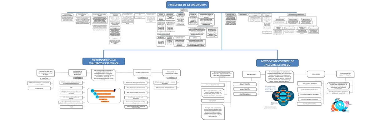 Barrera Joya Wuilian Alejandro Mapa conceptual Ergonomia - PRINCIPIOS DE LA ERGONOMIA ...