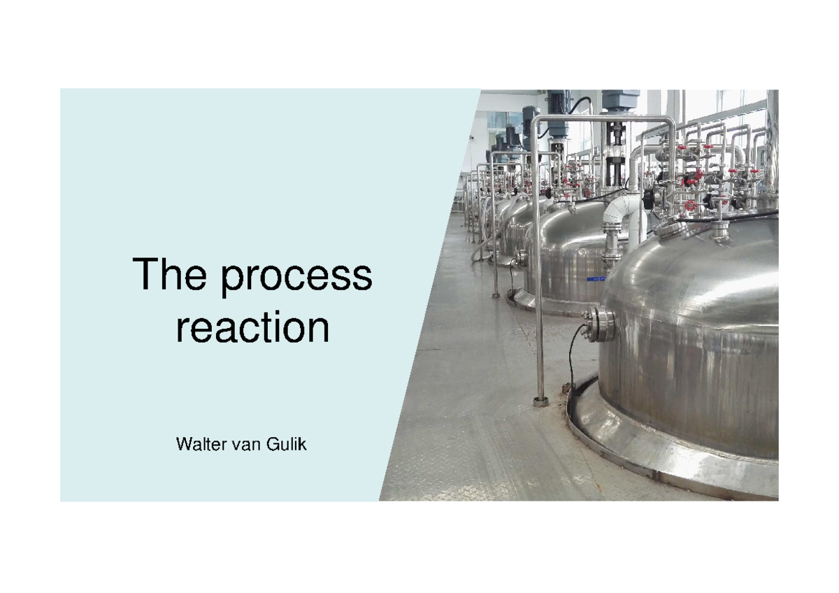 The process reaction FT 2021 - The process reaction Walter van Gulik ...