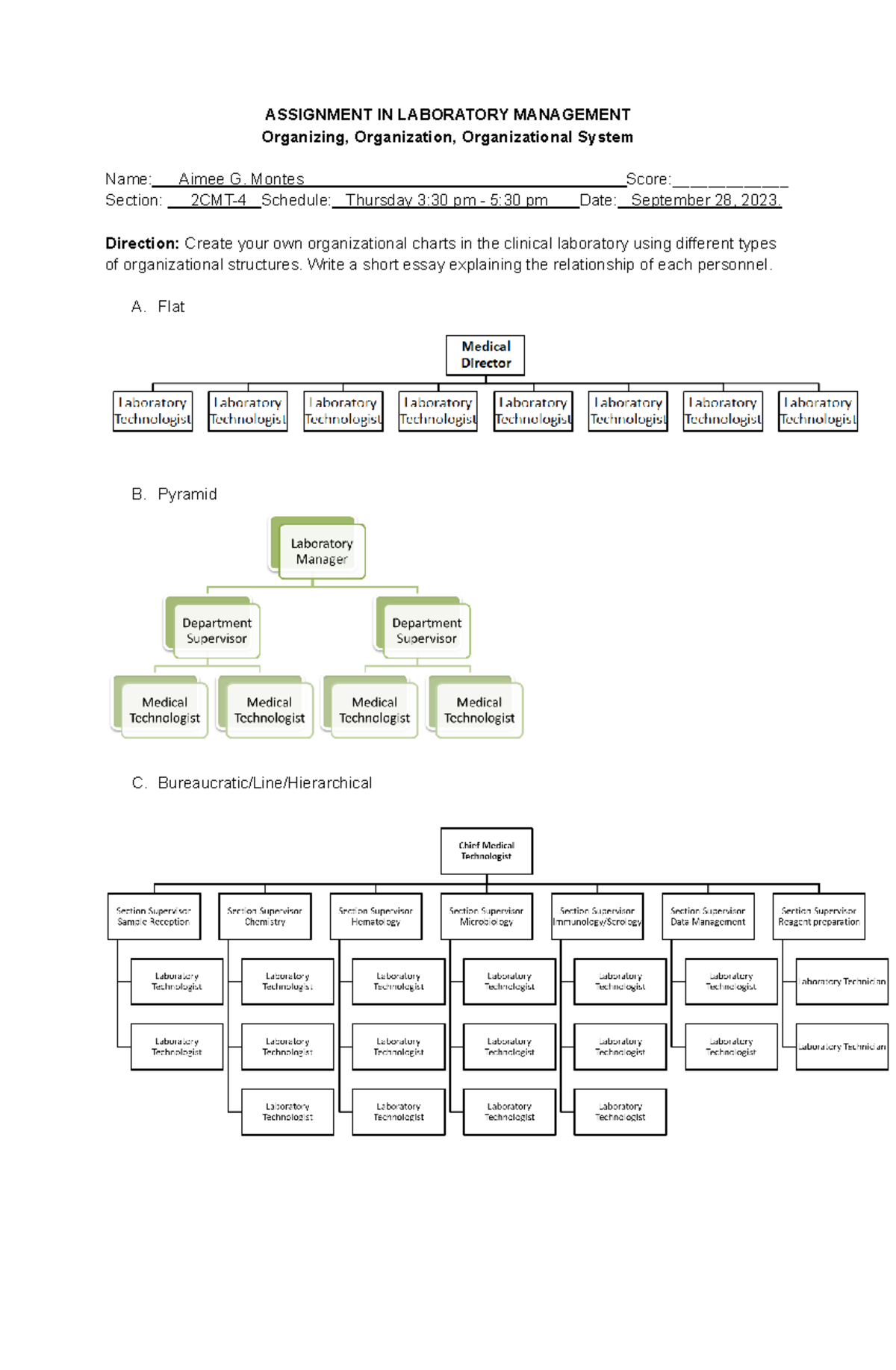 Assignment Module 3 Organizing, Organization, Organizational System ...