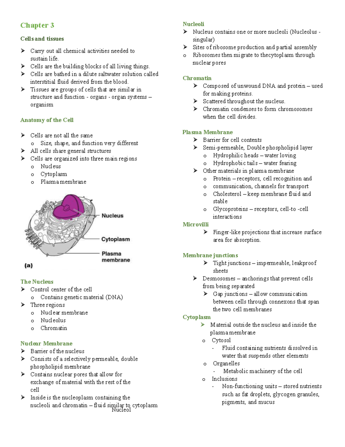 Chapter 3 Transes Anaphy LAB - Chapter 3 Cells and tissues Carry out ...