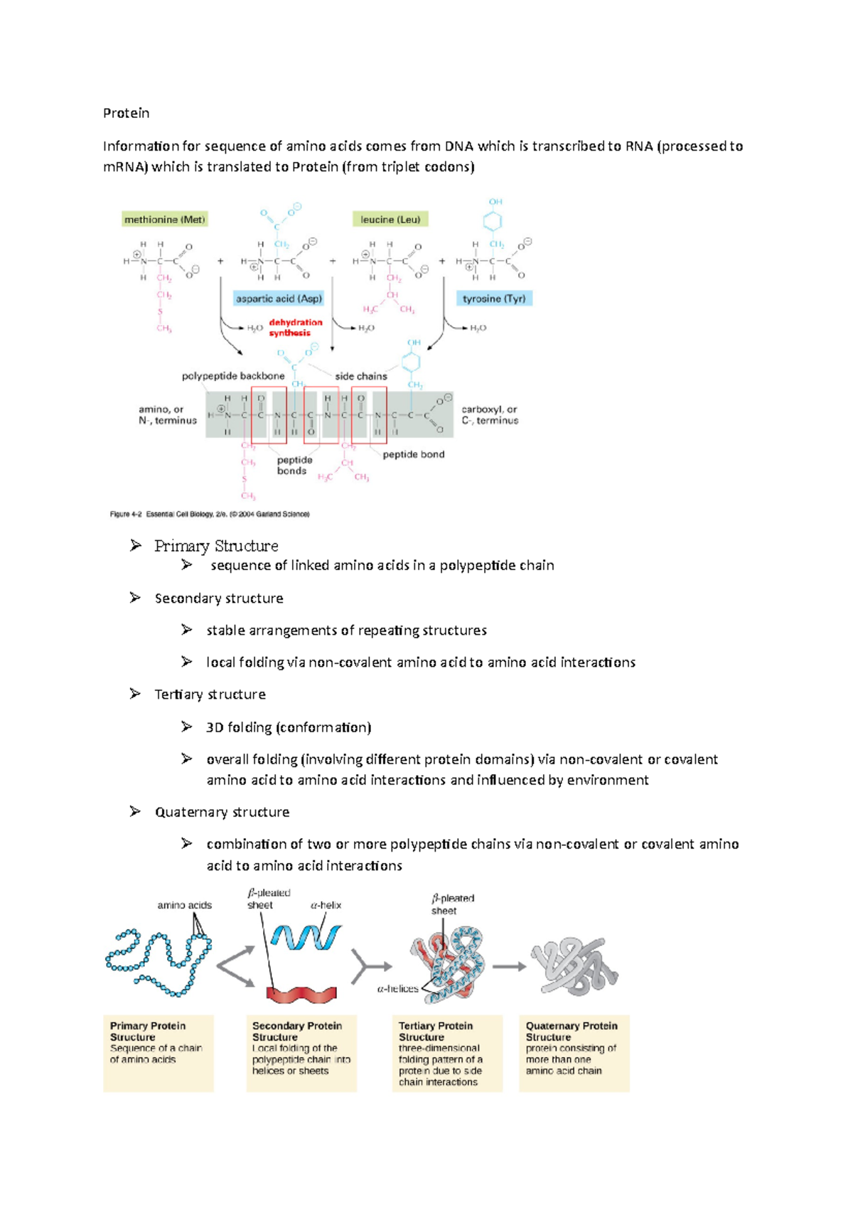 Biomedical - Summary Human Genomics And Biomolecular Analysis - Protein ...