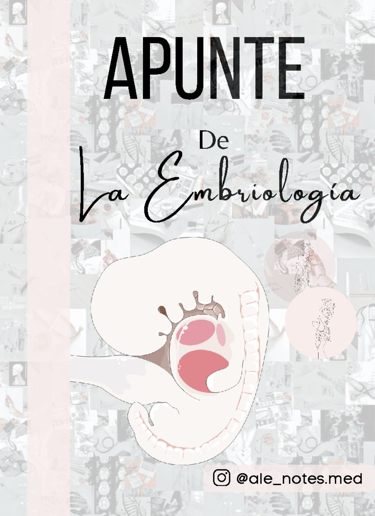 Embriologia ( Linea DEL Tiempo) - Química General e Inorgánica - APUNTE ...