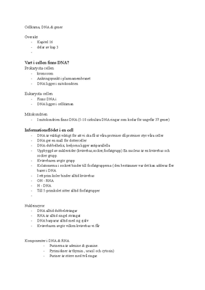 Anatomisk nomenklatur - Anatomisk nomenklatur Olika plan och ...