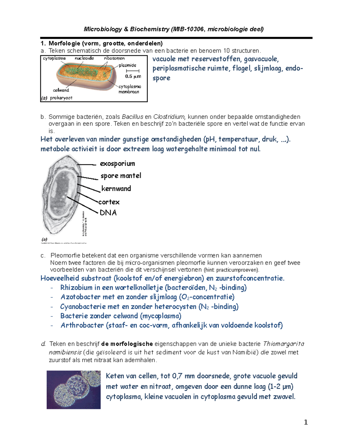 voorbeeldtentamen Microbiology deel met antwoorden - Microbiology ...