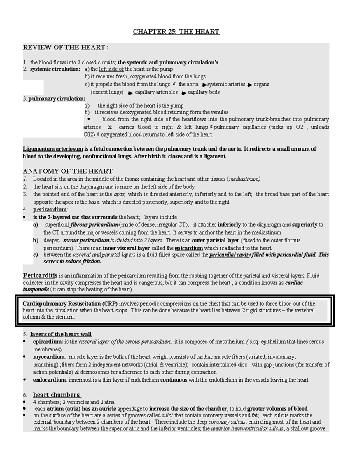 Adv A&P Test 1 Notes - CHAPTER 25: THE HEART REVIEW OF THE HEART : the ...