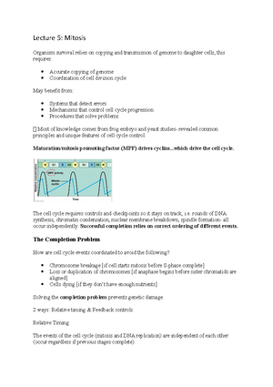 Lecture 4- meiosis and fertilisation - Lecture 4- meiosis and fertilisation Zygote- one cell ...
