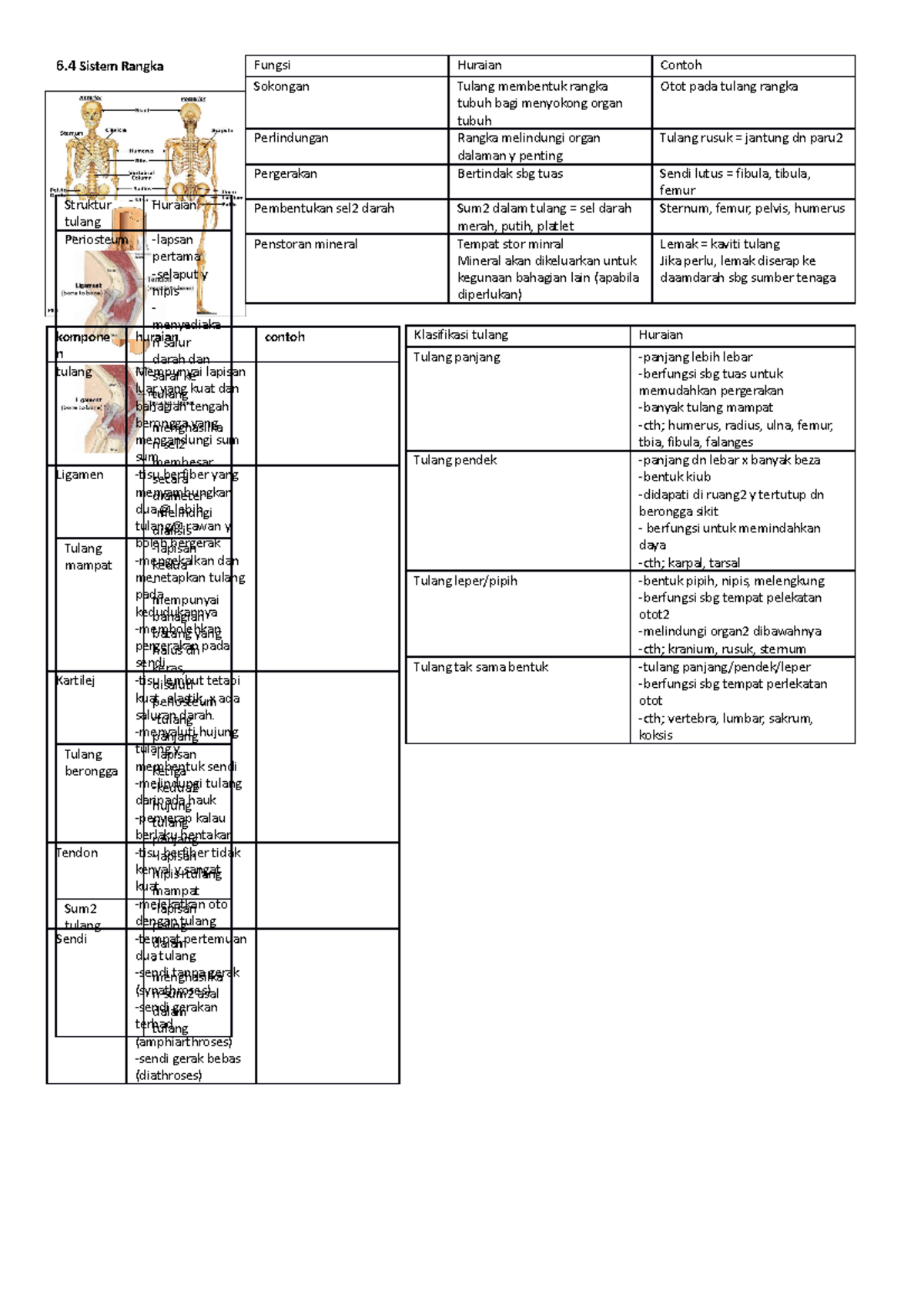 Nota ss sem 2 - sport science - 6 Sistem Rangka Struktur tulang Huraian ...