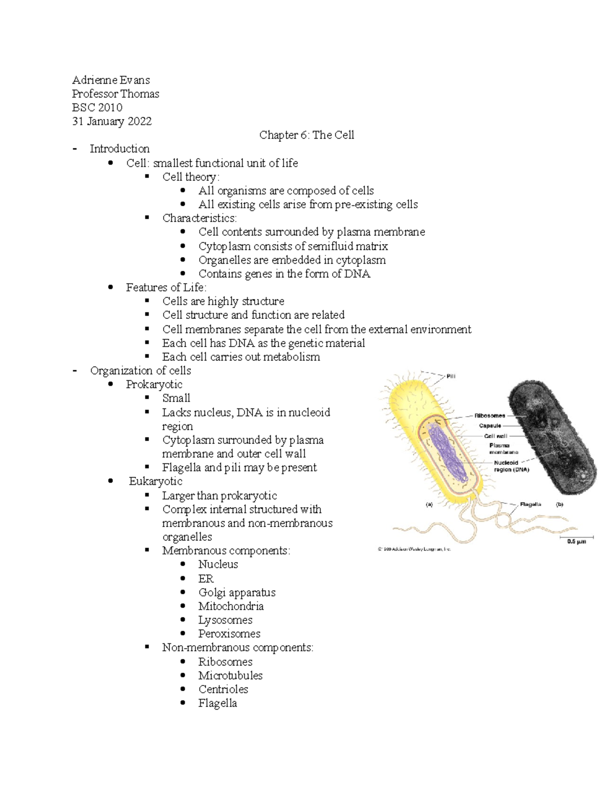 Chapter 6 - Professor Thomas - Adrienne Evans Professor Thomas BSC 2010 ...