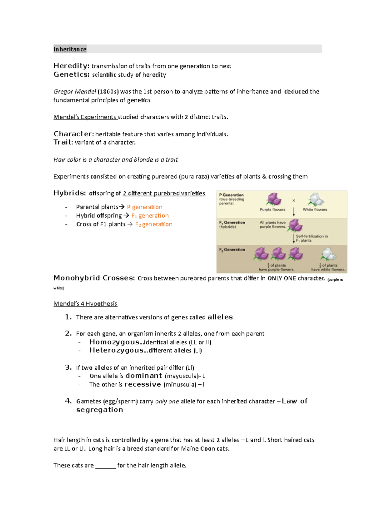 exam 3 notes BIO1005 - Inheritance Heredity: transmission of traits ...
