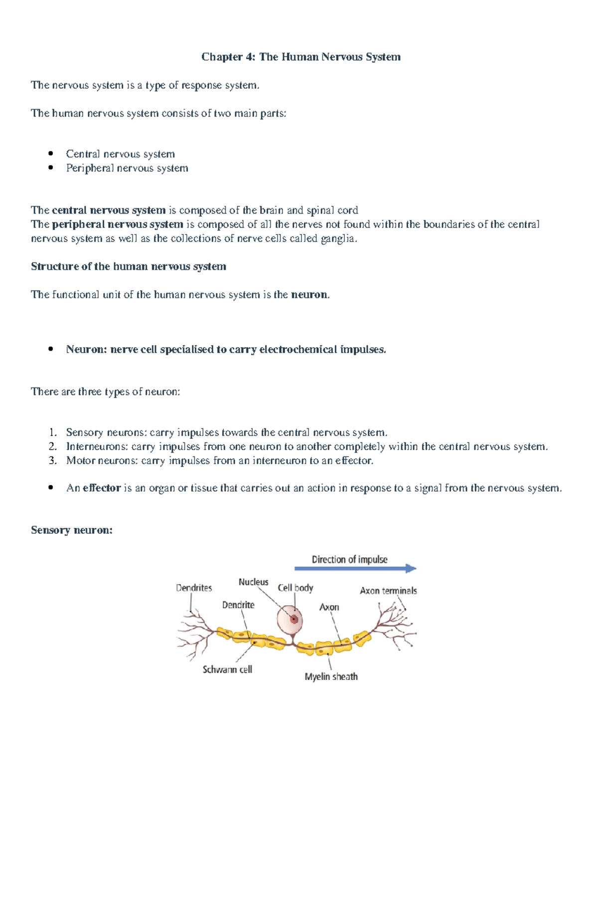 A n p chapter 3 - Chapter 4: The Human Nervous System The nervous ...