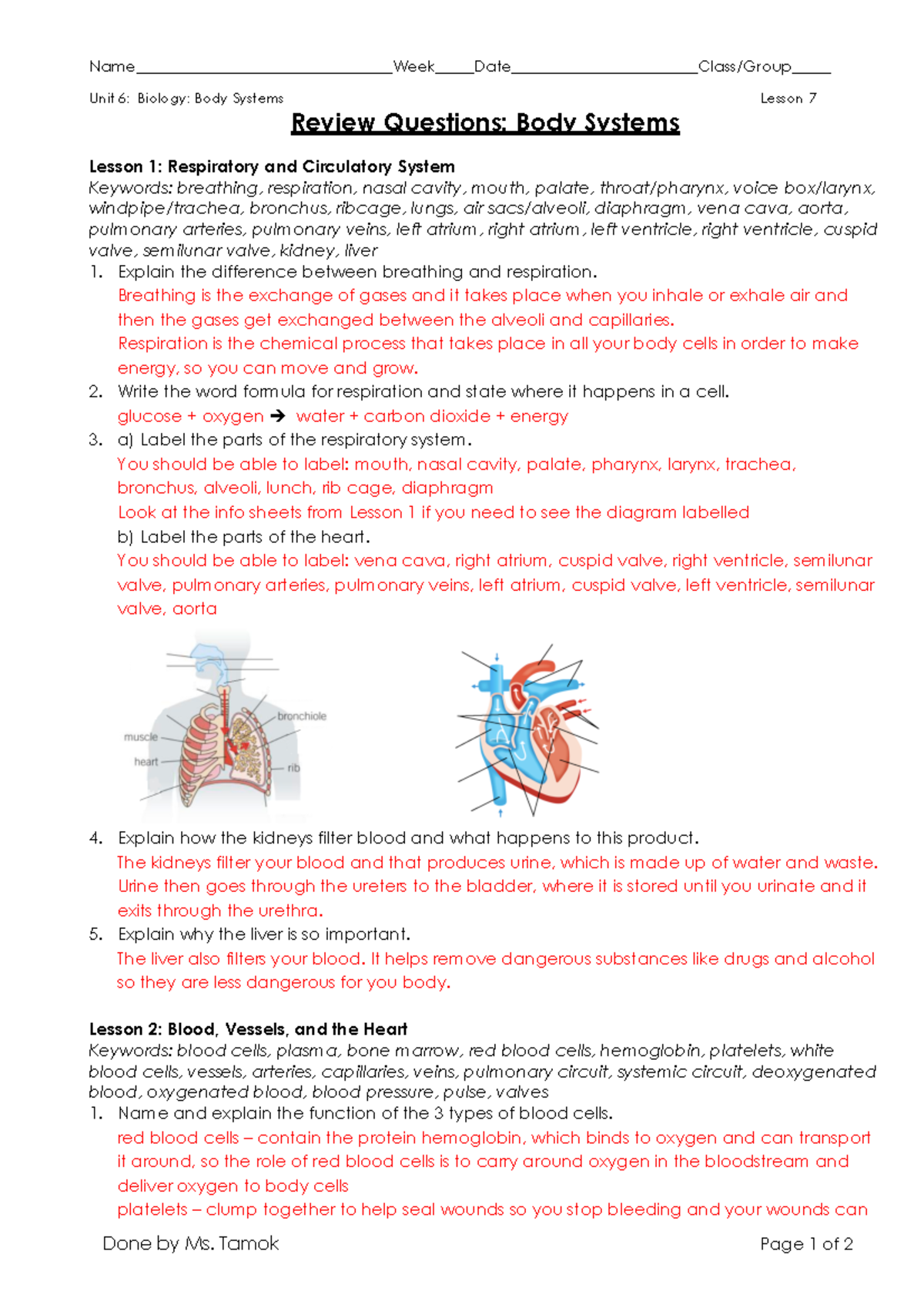 Review Questions - Body Systems Answer KEY - - Studocu