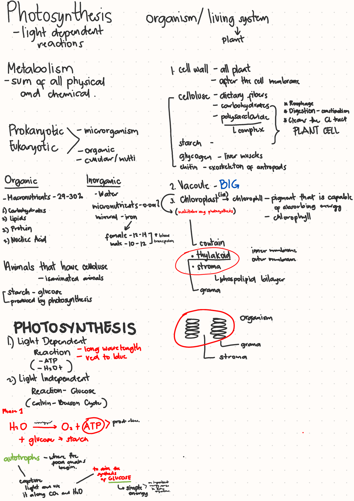 NSE - Photosynthesis - none - Photosynthesis living system light ...