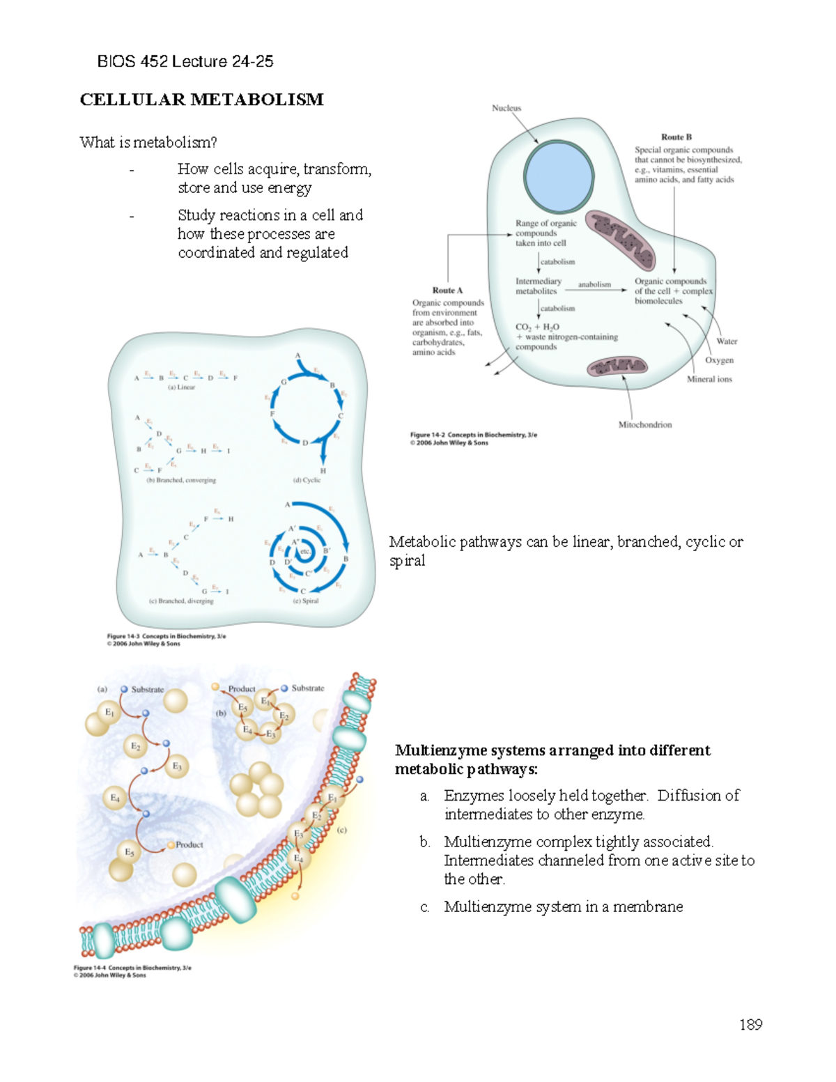 Bio Chem Lecture 24 & 25 Notes - BIOS 452 Lecture CELLULAR METABOLISM ...