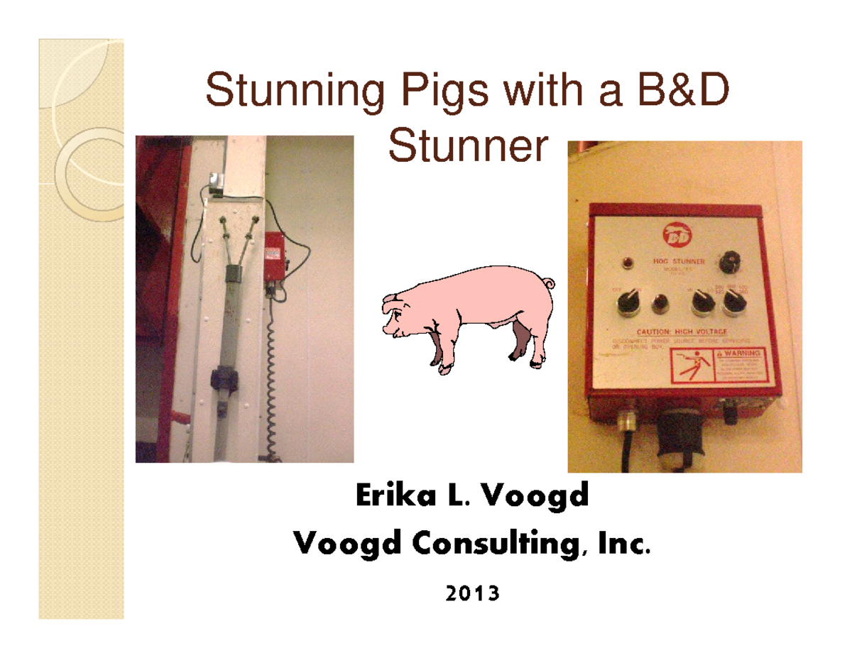 2013-Stunning-Pigs-with-a-BD-Stunner-Voogd-Consulting - Stunning Pigs ...