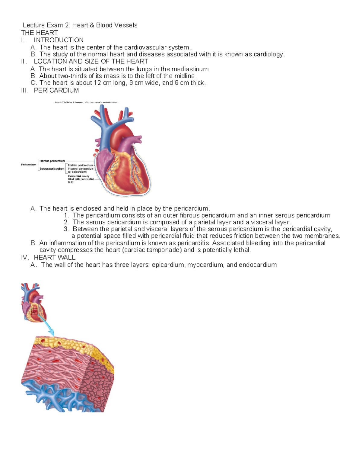 Exam 2 heart Spring 2023wpics - Lecture Exam 2: Heart & Blood Vessels ...