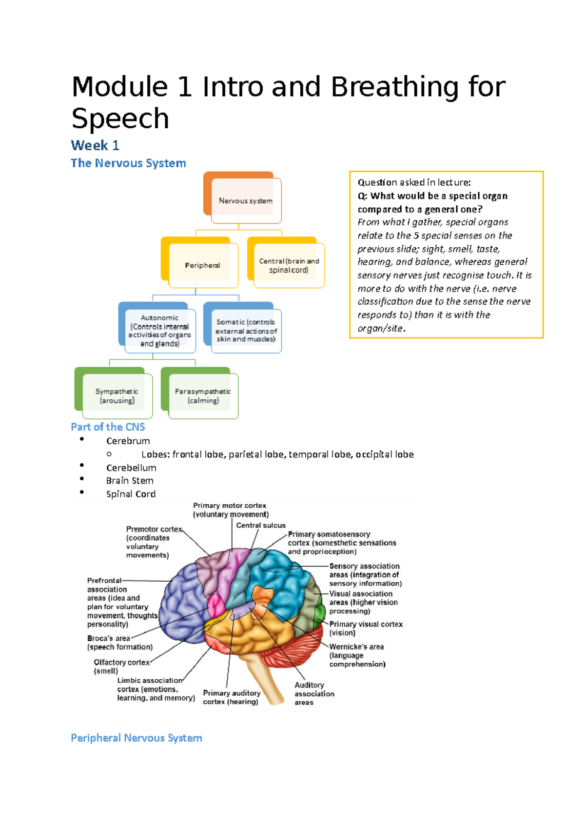 Module 1 Intro and Breathing for Speech - It is more to do with the ...