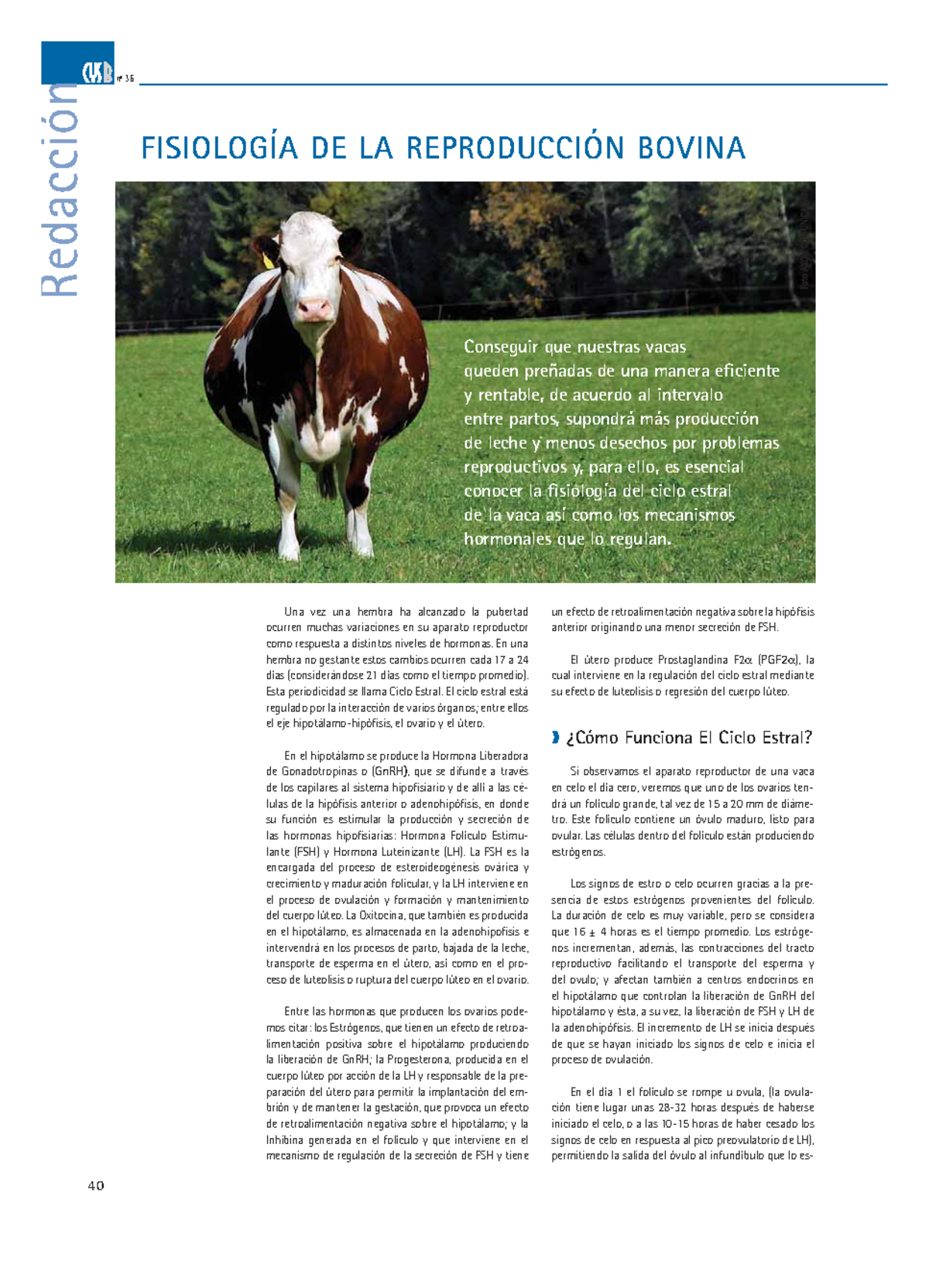 Cys 36 40-41 Fisiologia de la reproduccion bovina - nº 36 40 FISIOLOGÍA ...