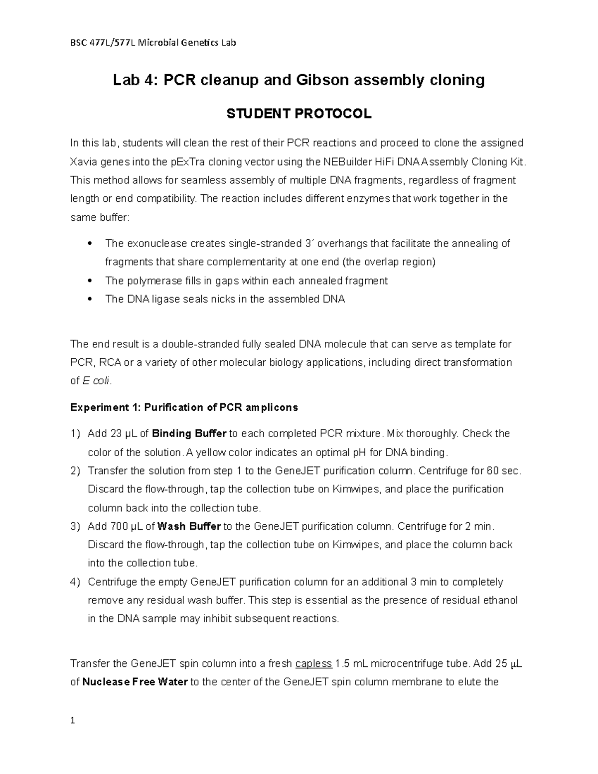 Lab 4 student protocol - BSC 577L - USM - Studocu