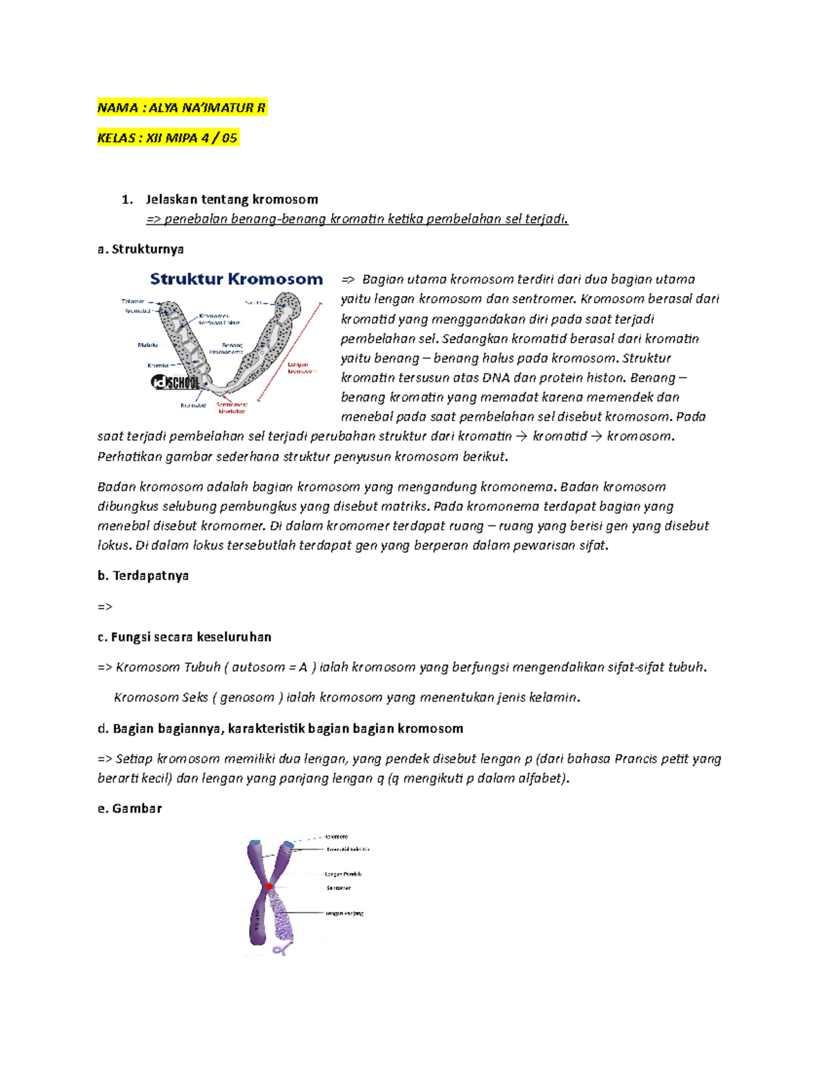 Biologi assign tentang biogenetik kromosom - NAMA : ALYA NA’IMATUR R ...