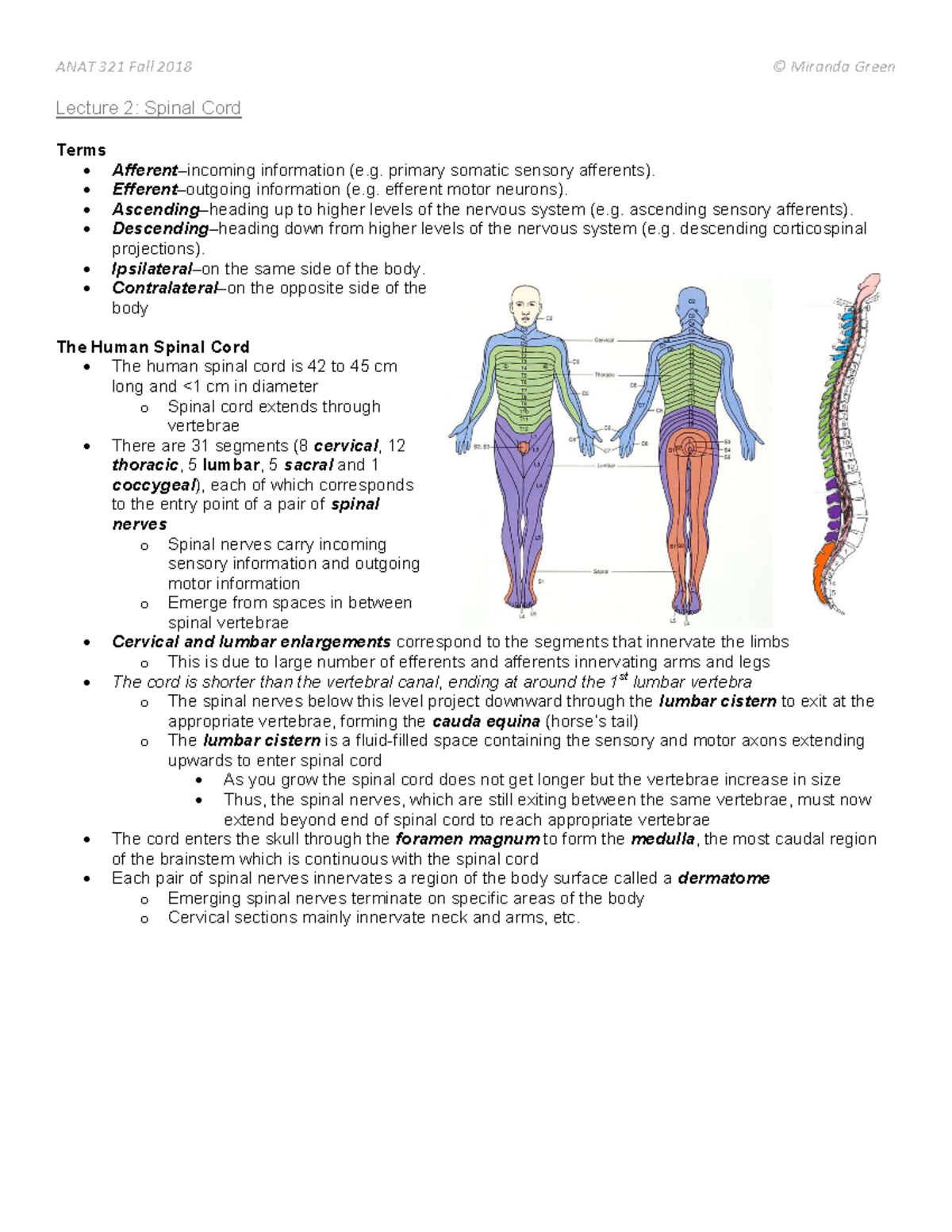 Lecture 2: Brainstem and Spinal Cord - ANAT 321 Fall 2018 Miranda Green ...