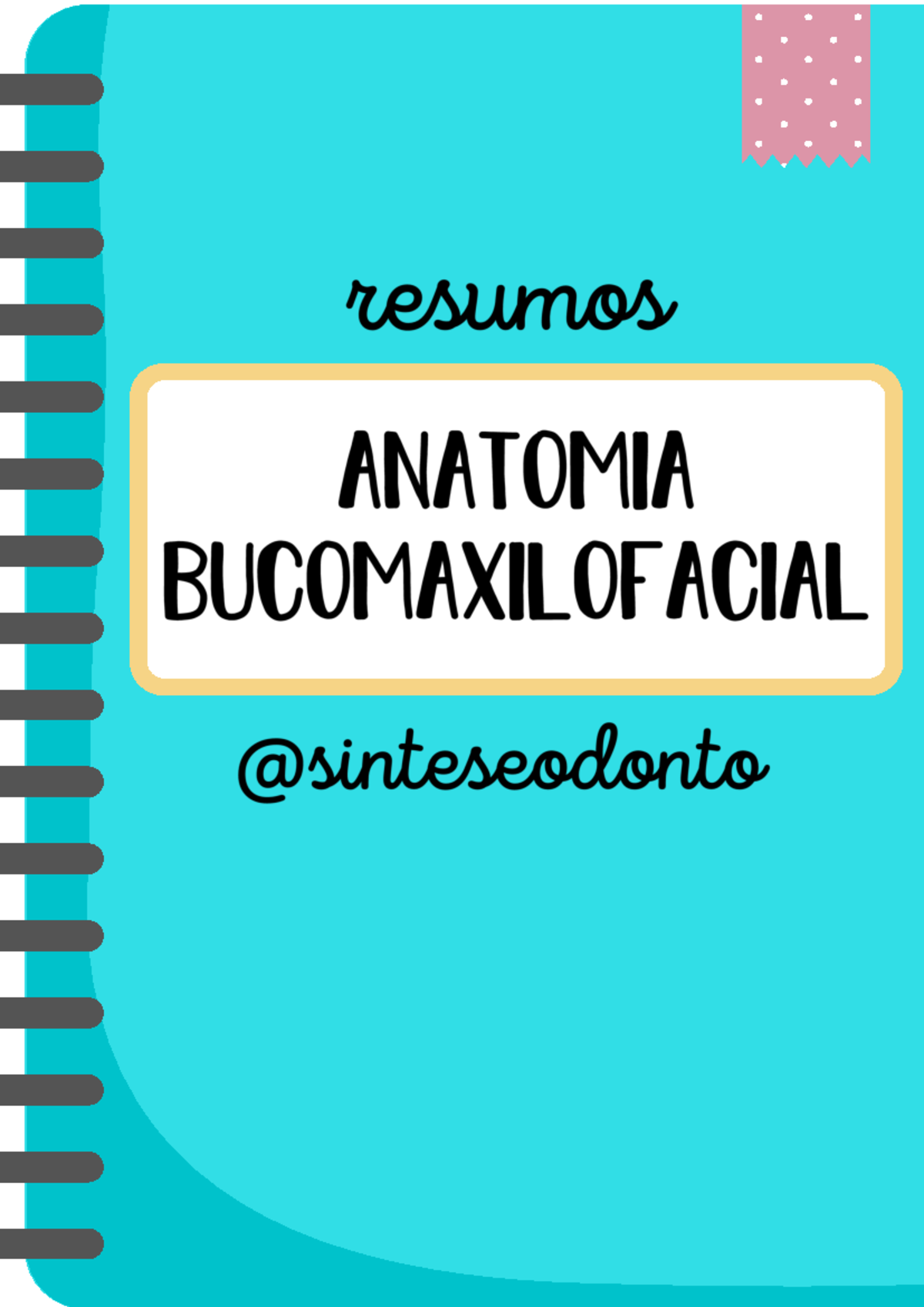 Anatomia bucomaxilofacial @sinteseodonto - A inserção entre o osso ...