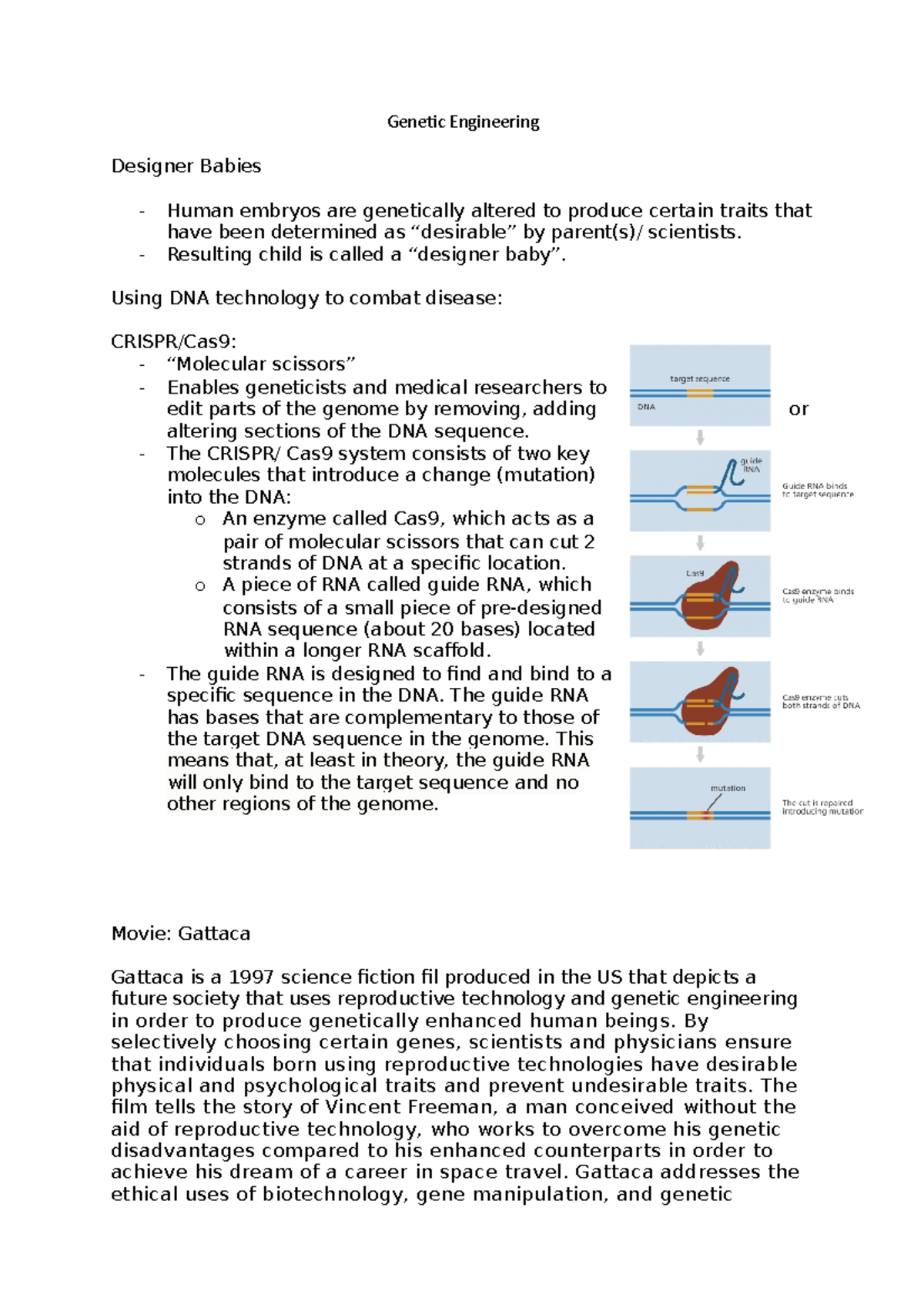 Genetic Engineering - Genetic Engineering Designer Babies Human embryos ...
