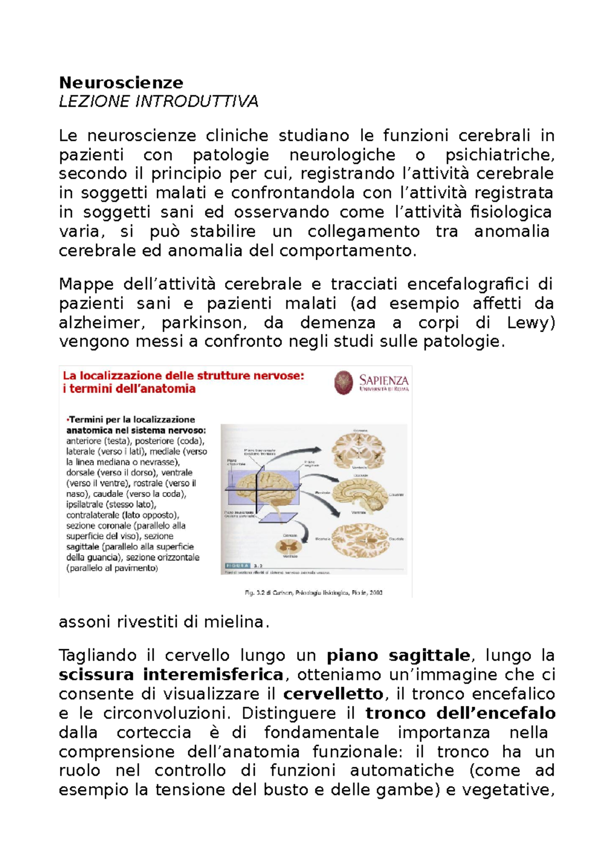 Neuroscienze Claudio Babiloni - Neuroscienze LEZIONE INTRODUTTIVA Le ...