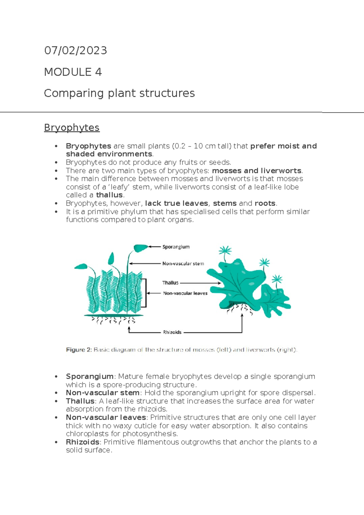 Module 4- Biodiversity of plants - 07/02/ MODULE 4 Comparing plant ...