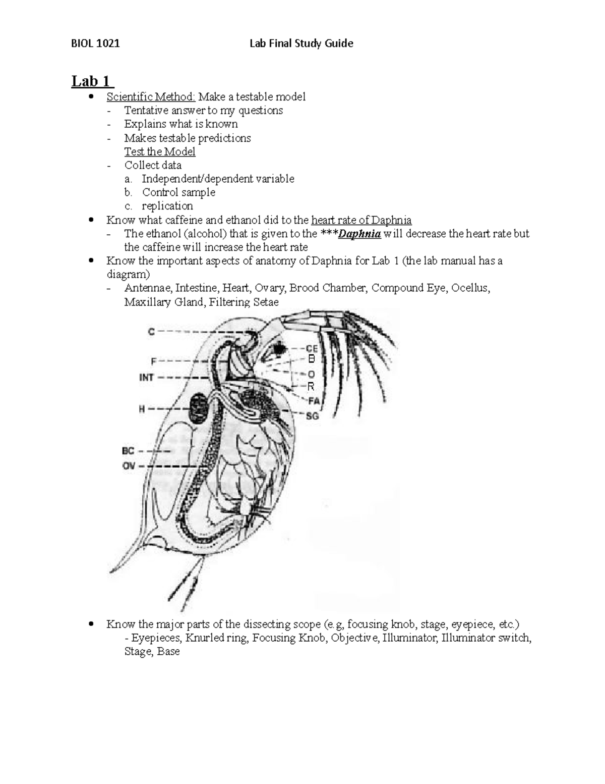 BIOL 1021 Lab Final – Study Guide - Lab 1 Scientific Method: Make a ...