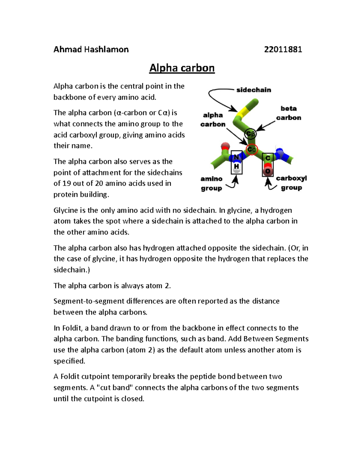 Alpha carbon - final media - Ahmad Hashlamon 22011881 Alpha carbon ...