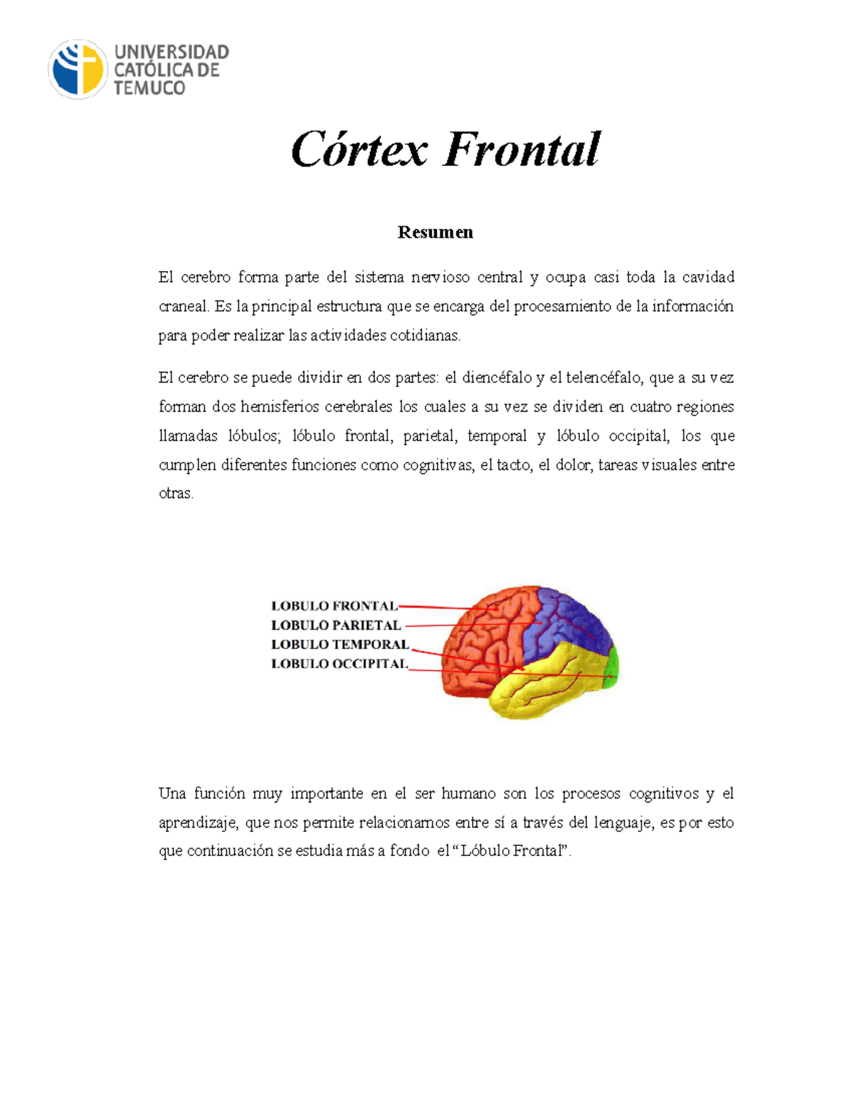 Resumen Córtex Frontal - Córtex Frontal Resumen El cerebro forma parte ...