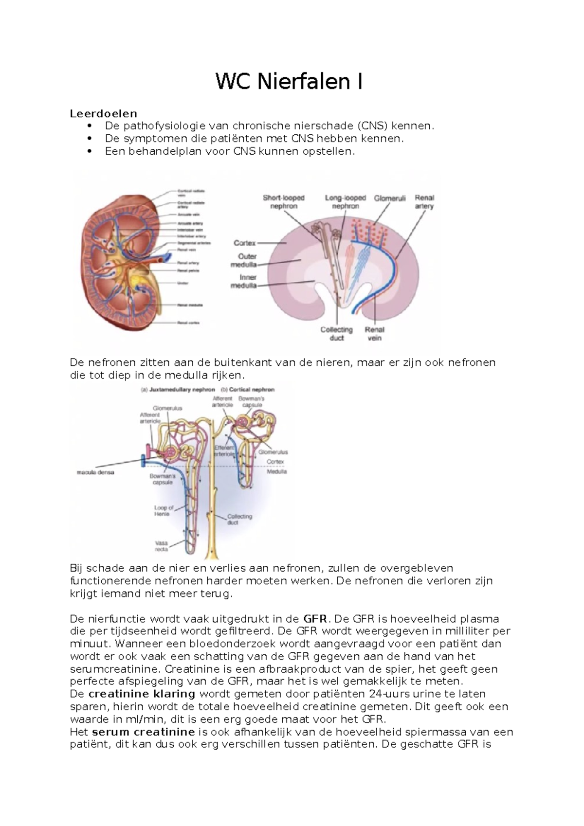 WC Nierfalen I - WC Nierfalen I Leerdoelen De pathofysiologie van ...