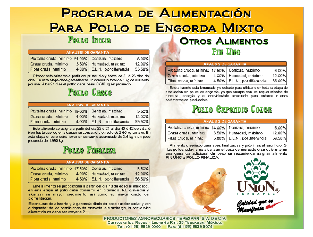 Pollos E - Resumen basico - Programa de Alimentación Para Pollo de ...