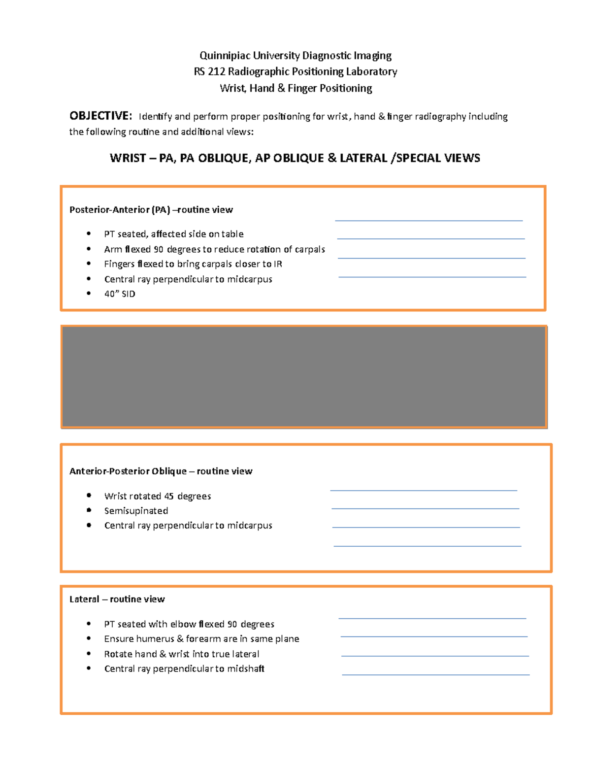 Hand Finger Wrist Lab Assignment - Quinnipiac University Diagnostic ...