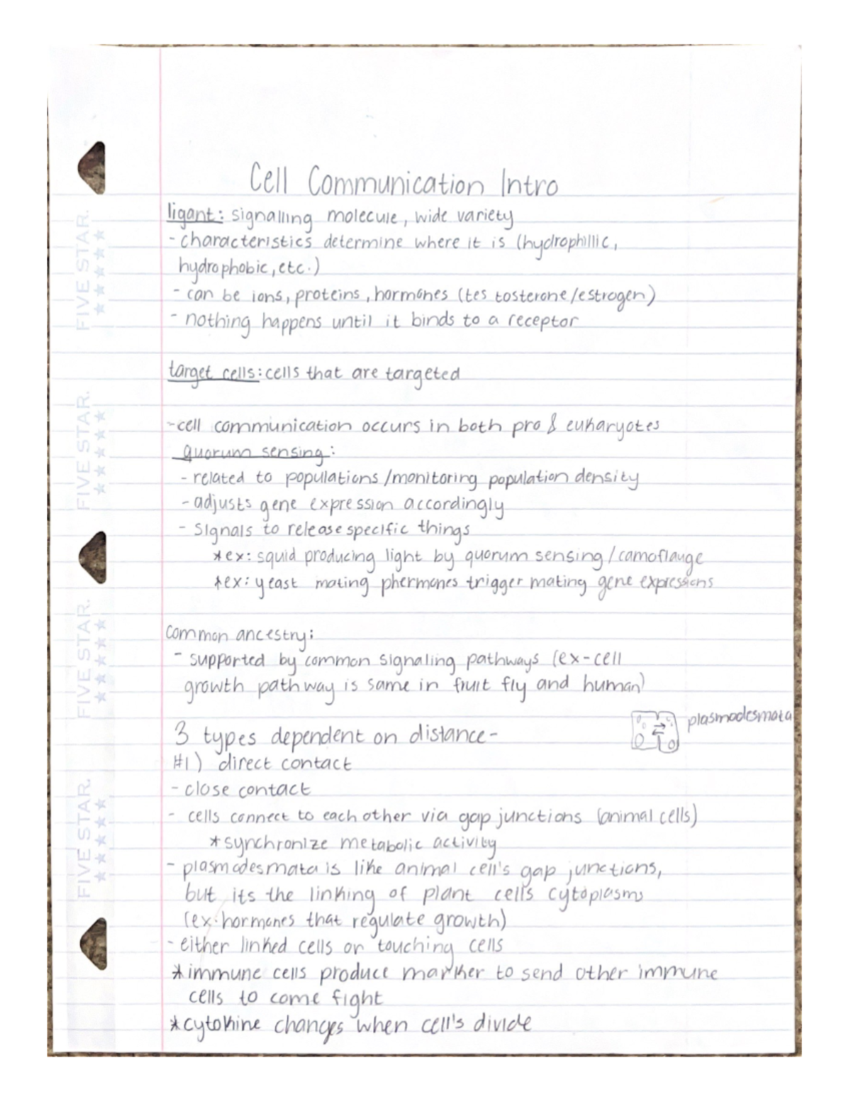 Cell Communication Intro - ) can be ions, proteins, hormones (tes ...
