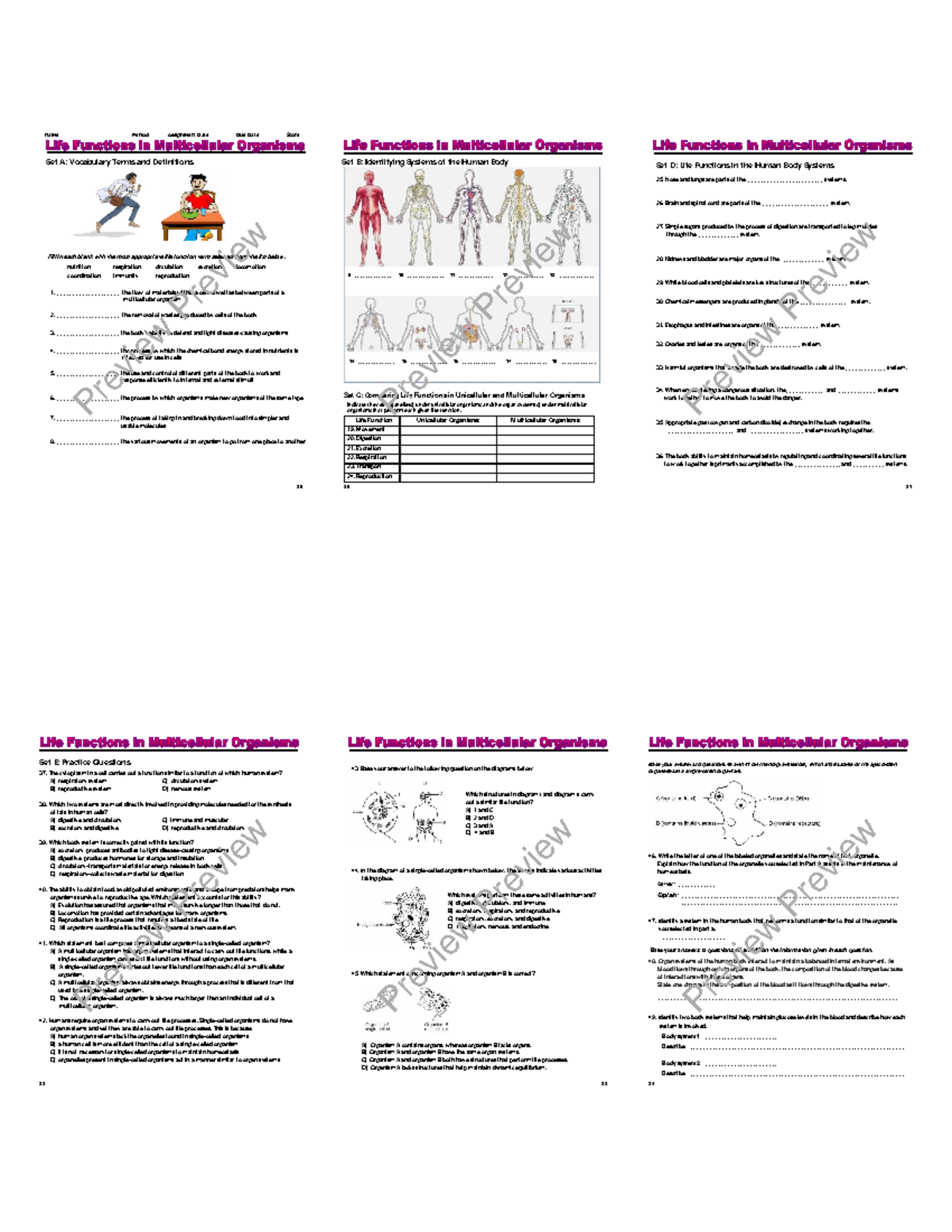 Life Function in Multicellular Preview - 29 Set A: Vocabulary Terms and ...