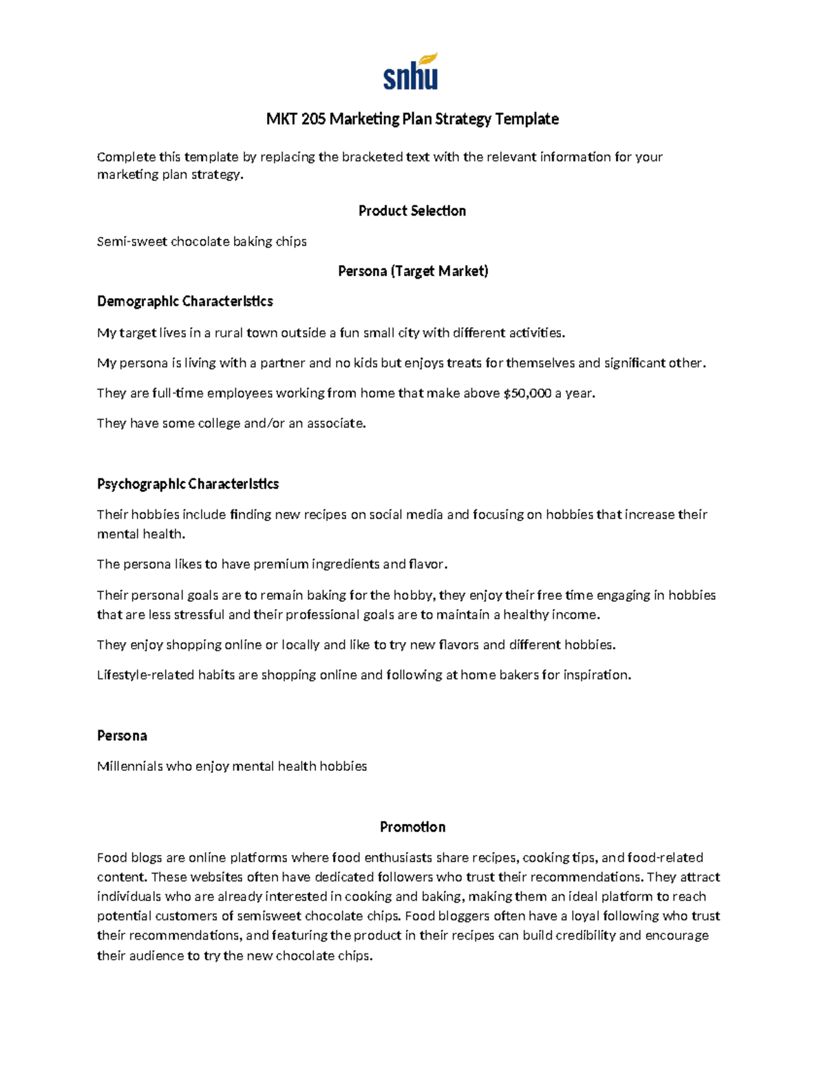 MKT 205 Marketing Project - MKT 205 Marketing Plan Strategy Template ...
