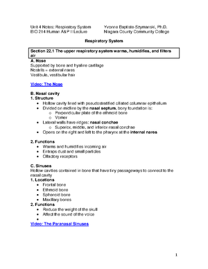 Urine formation worksheet (bio 214) - Name the 3 major steps involved ...