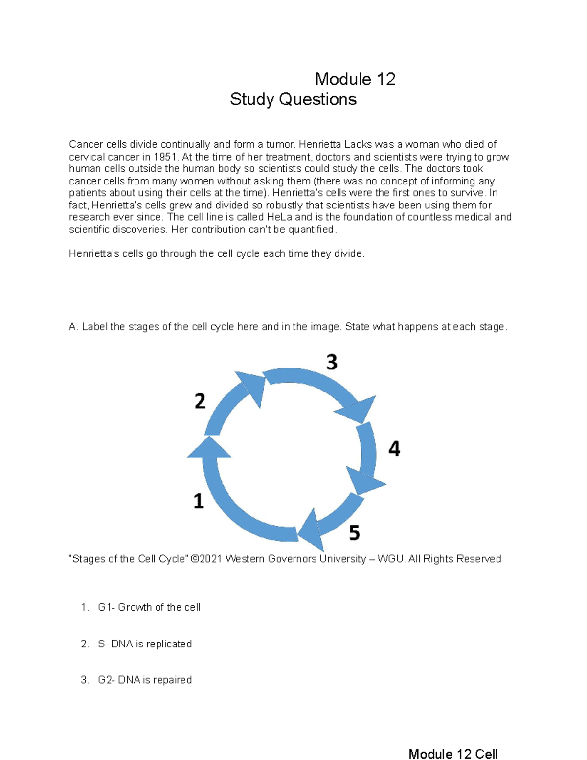 Module 12 study questions - Module 12 Study Questions Cancer cells ...