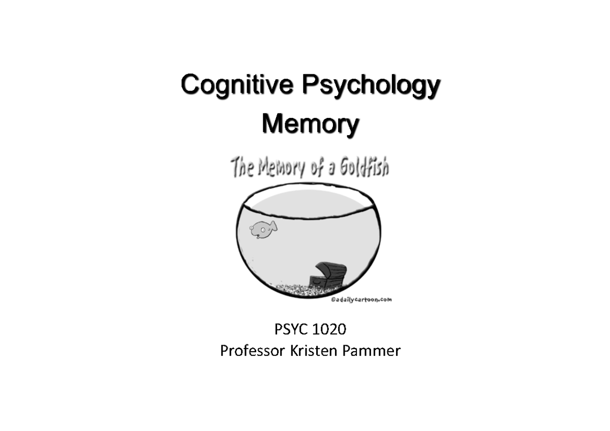 Psyc 1020 week 10 Memory (sm)-1 - Cognitive Psychology Memory PSYC 1020 Professor Kristen Pammer ...