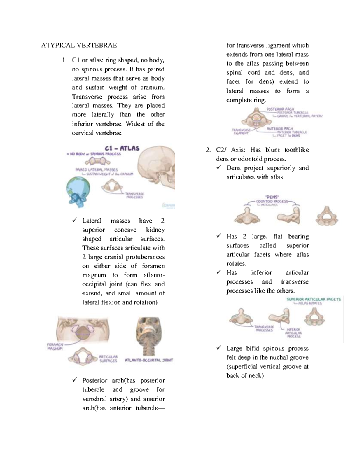 Atypical Vertebrae and Bones of Vertebral Column - ATYPICAL VERTEBRAE ...