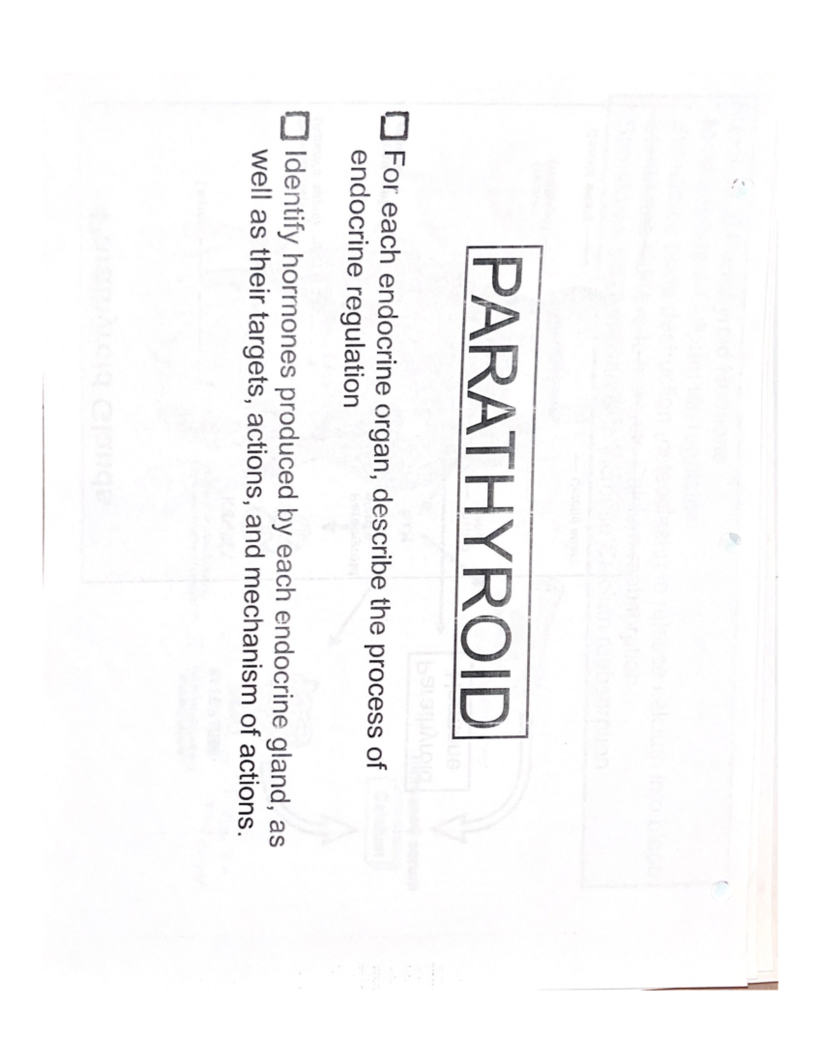 Parathyroid - BIO 201 - Studocu