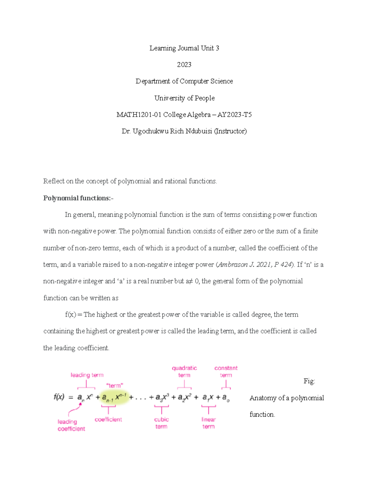 Learning Journal Unit 3 - Ugochukwu Rich Ndubuisi (Instructor) Reflect ...