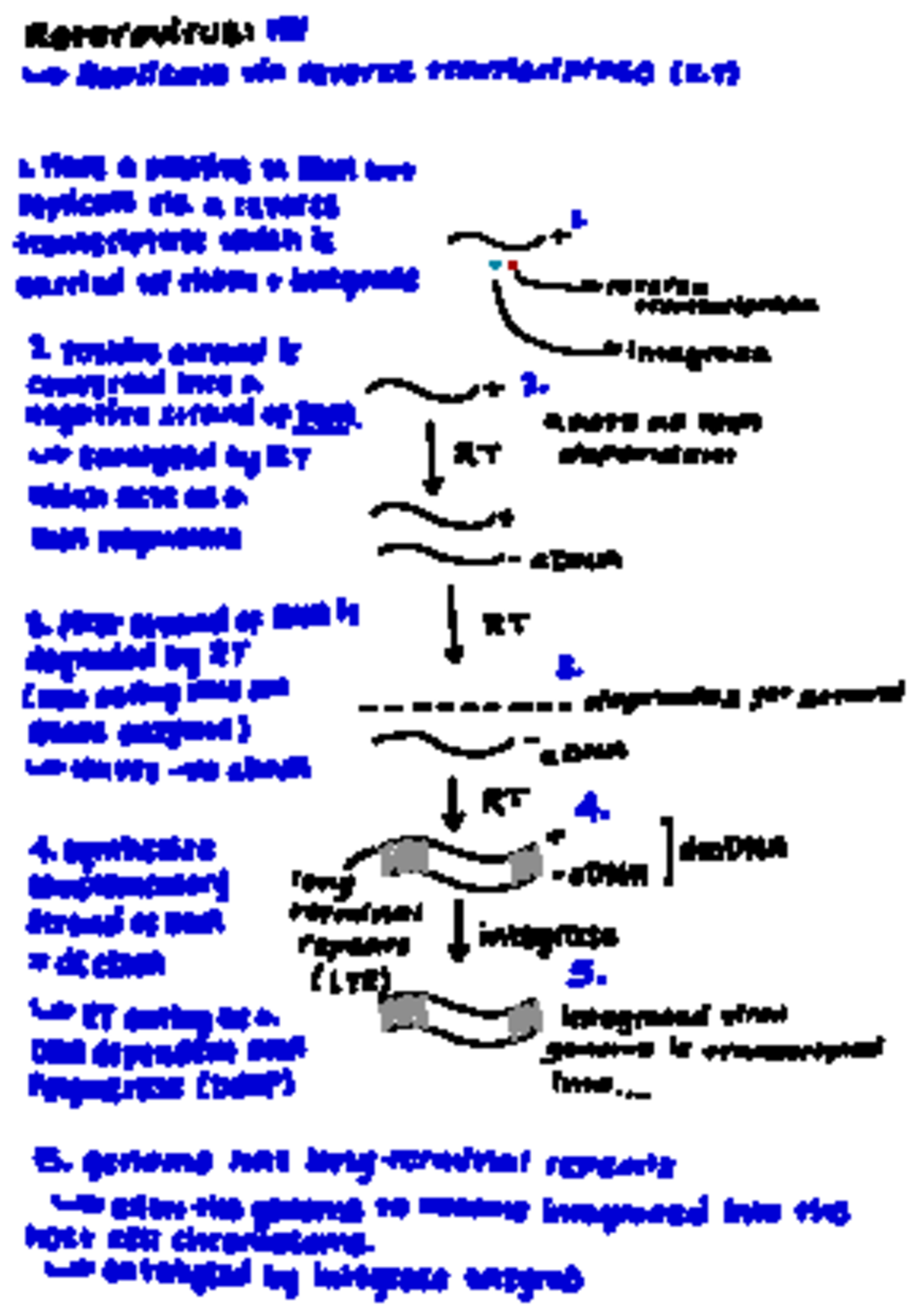 Retrovirus replication - Reterovirus:HIV -> Replicatevia reverse ...