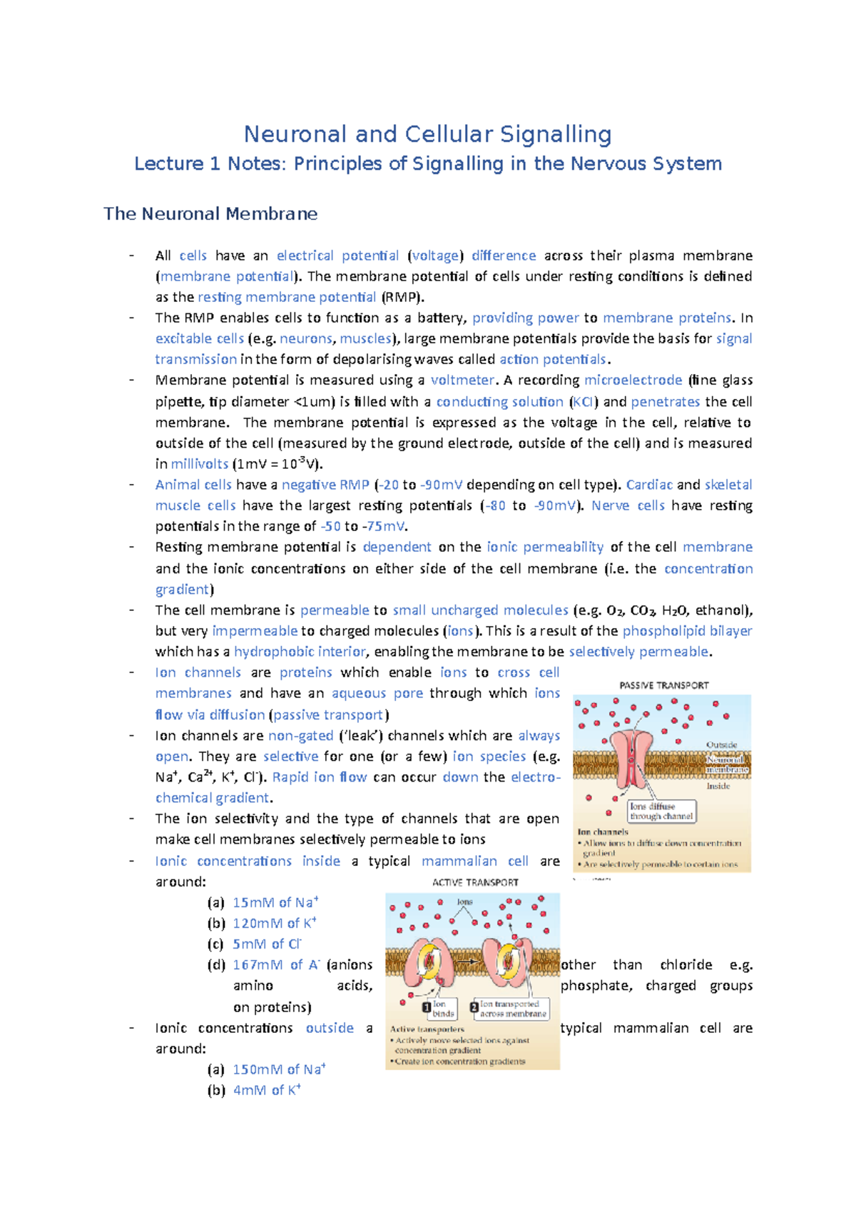 Lecture 1 Notes Principles Of Signalling In The Nervous System Part 2 Neuronal And Cellular