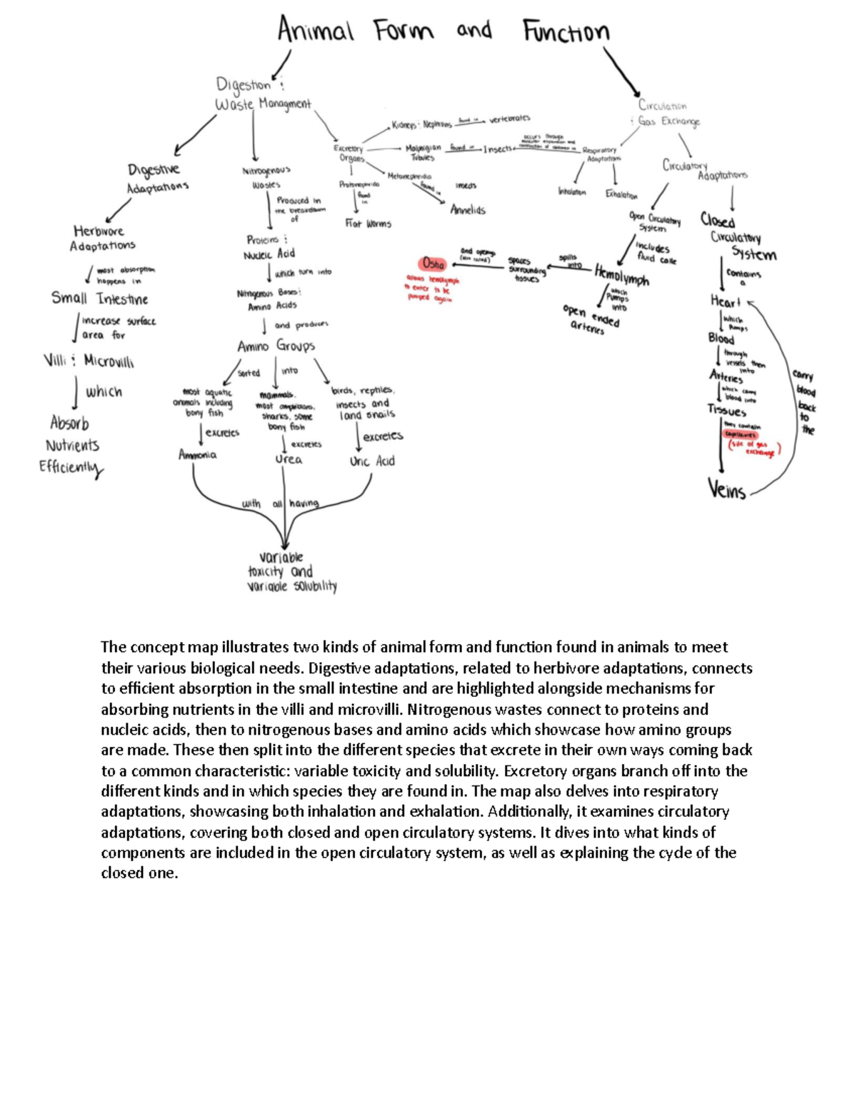 Concept Map B - The concept map illustrates two kinds of animal form ...