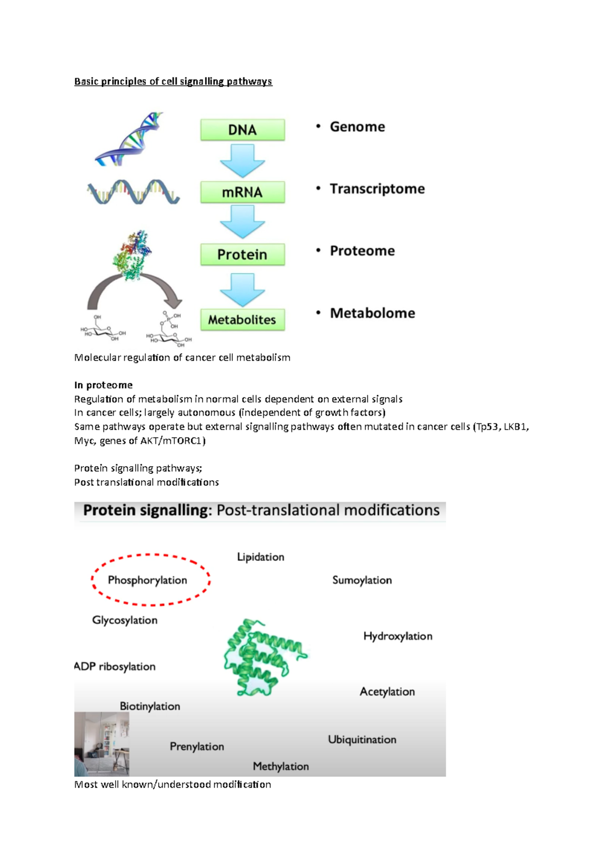 Molecular reg cancer - 1.6 - Basic principles of cell signalling ...