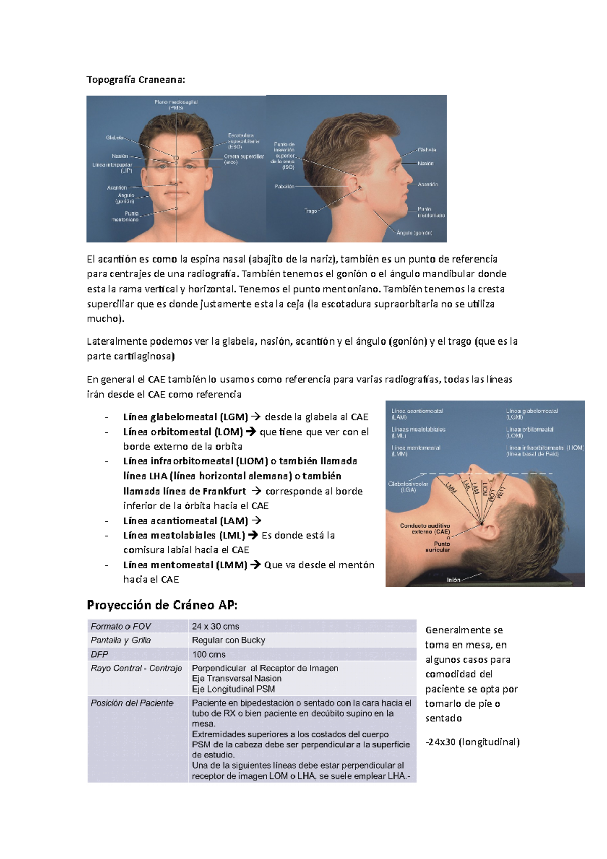 Clase 1 Imagenología Craneana - Topografía Craneana: El acantión es ...