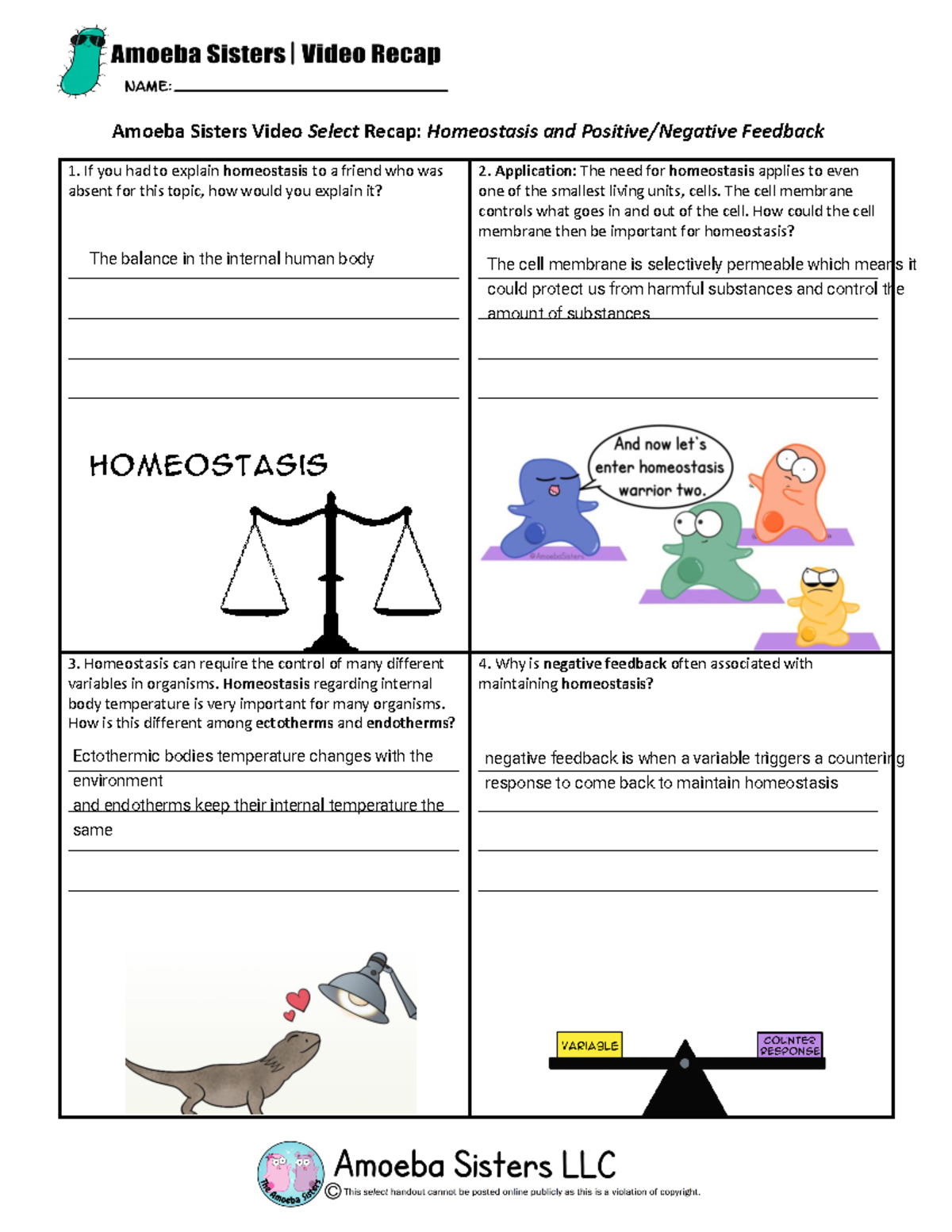 Kami Export - Select Homeostasis, Positive, Negative Feedback by Amoeba ...