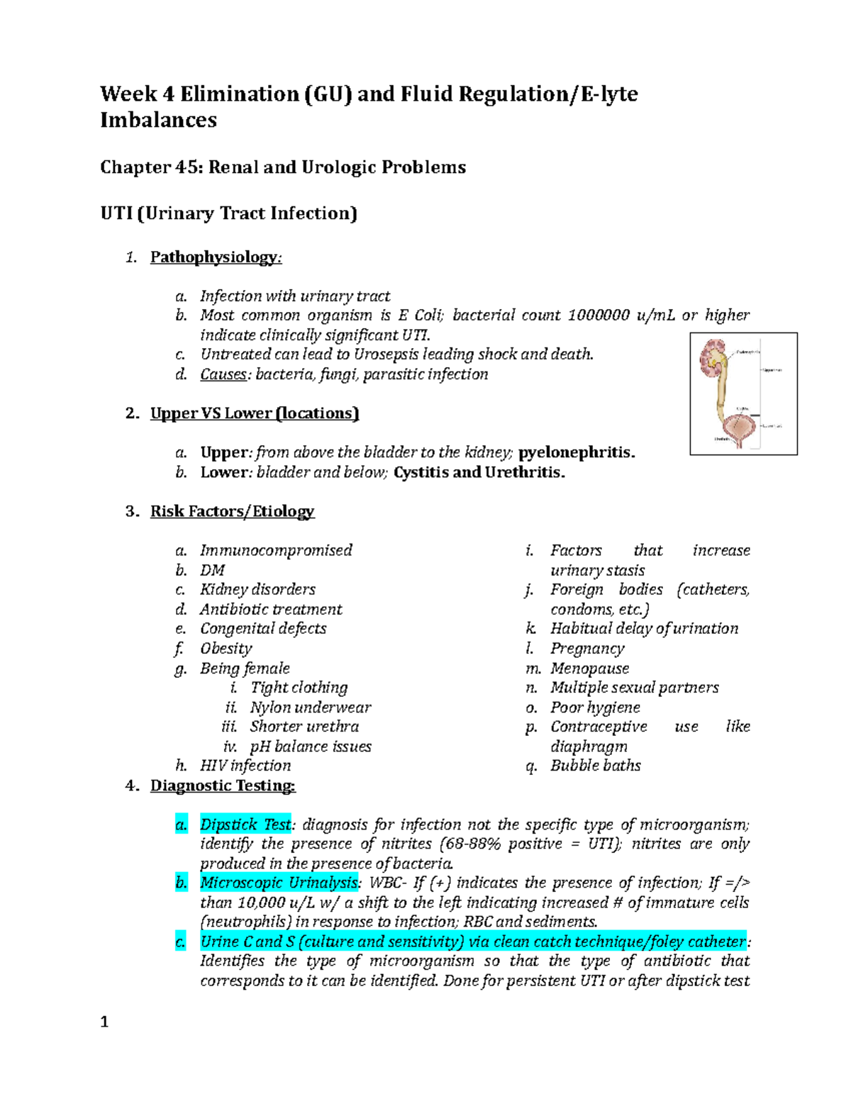 Renal System and UTI - Week 4 Elimination (GU) and Fluid Regulation/E ...